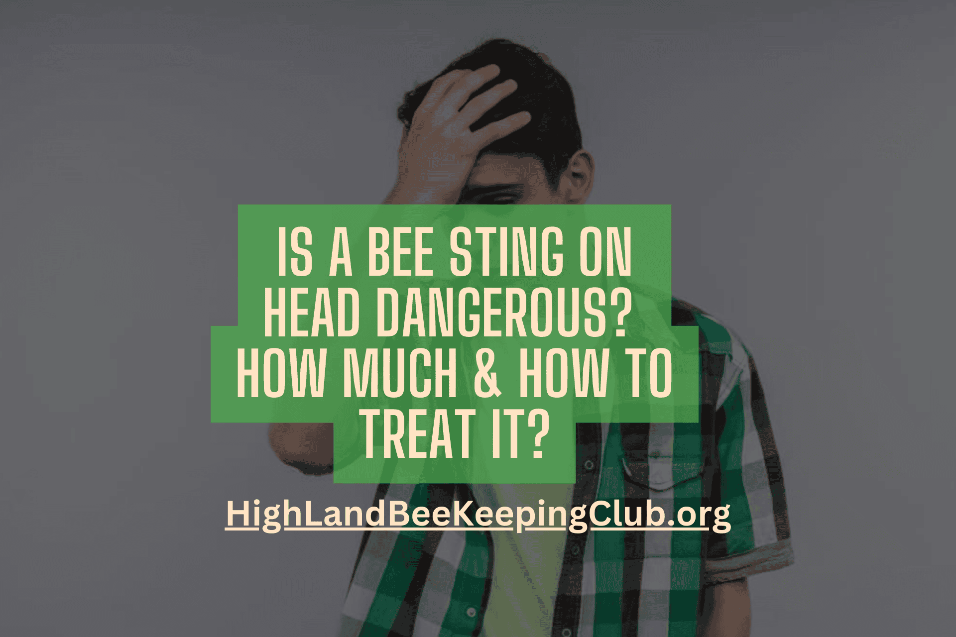 Is A Bee Sting On Head Dangerous? How Much & How To Treat It? - The ...