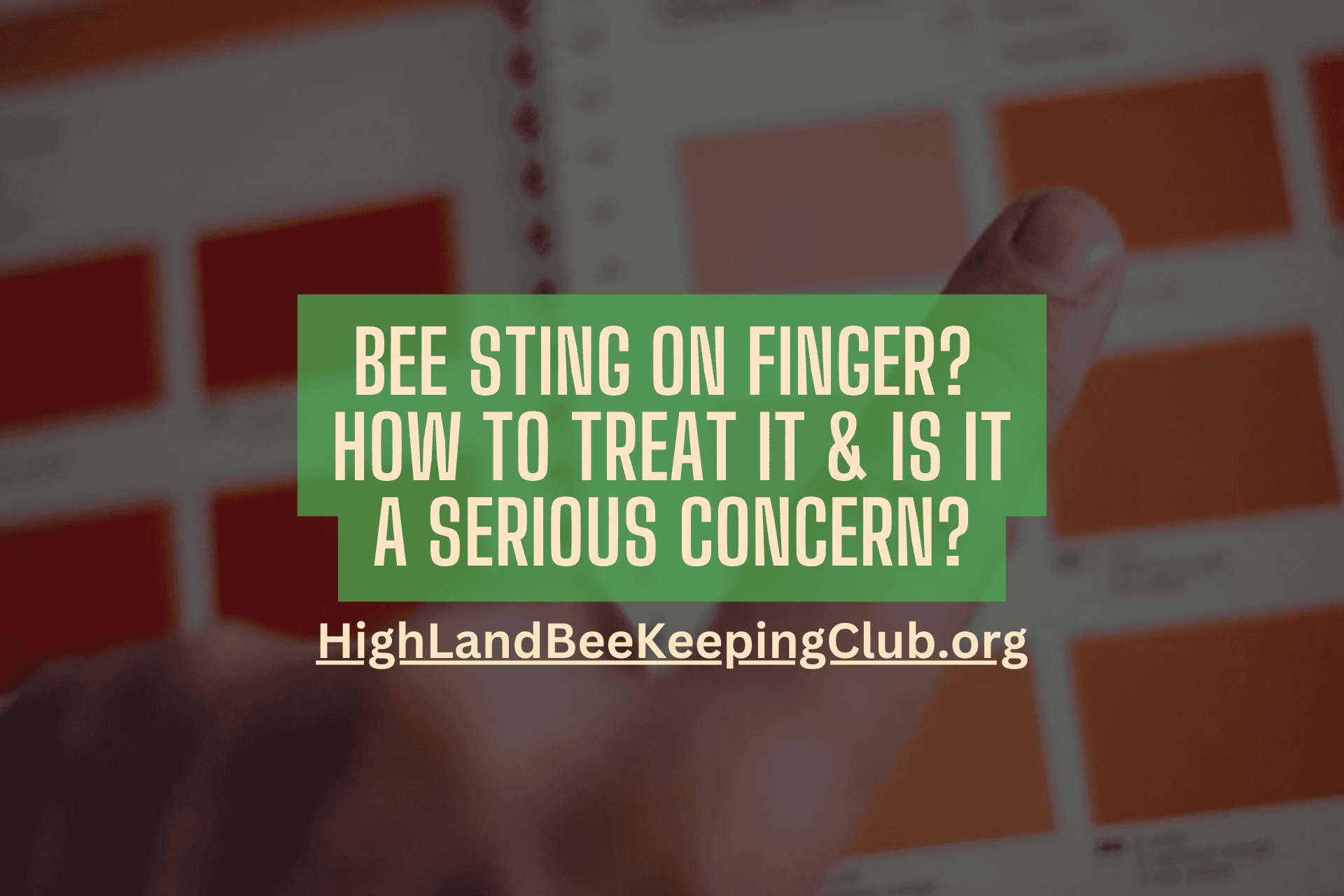 Bee Sting On Finger? How To Treat It & Is It A Serious Concern? - The ...
