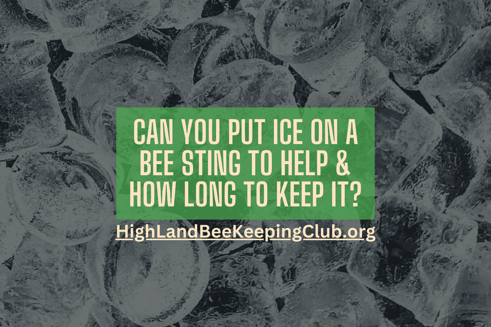 Can You Put Ice On A Bee Sting To Help & How Long To Keep It?
